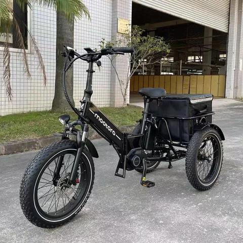 Buy New Style Fat Tire 20 Inch Electric Trike Tricycles 48v 500w Mid ...