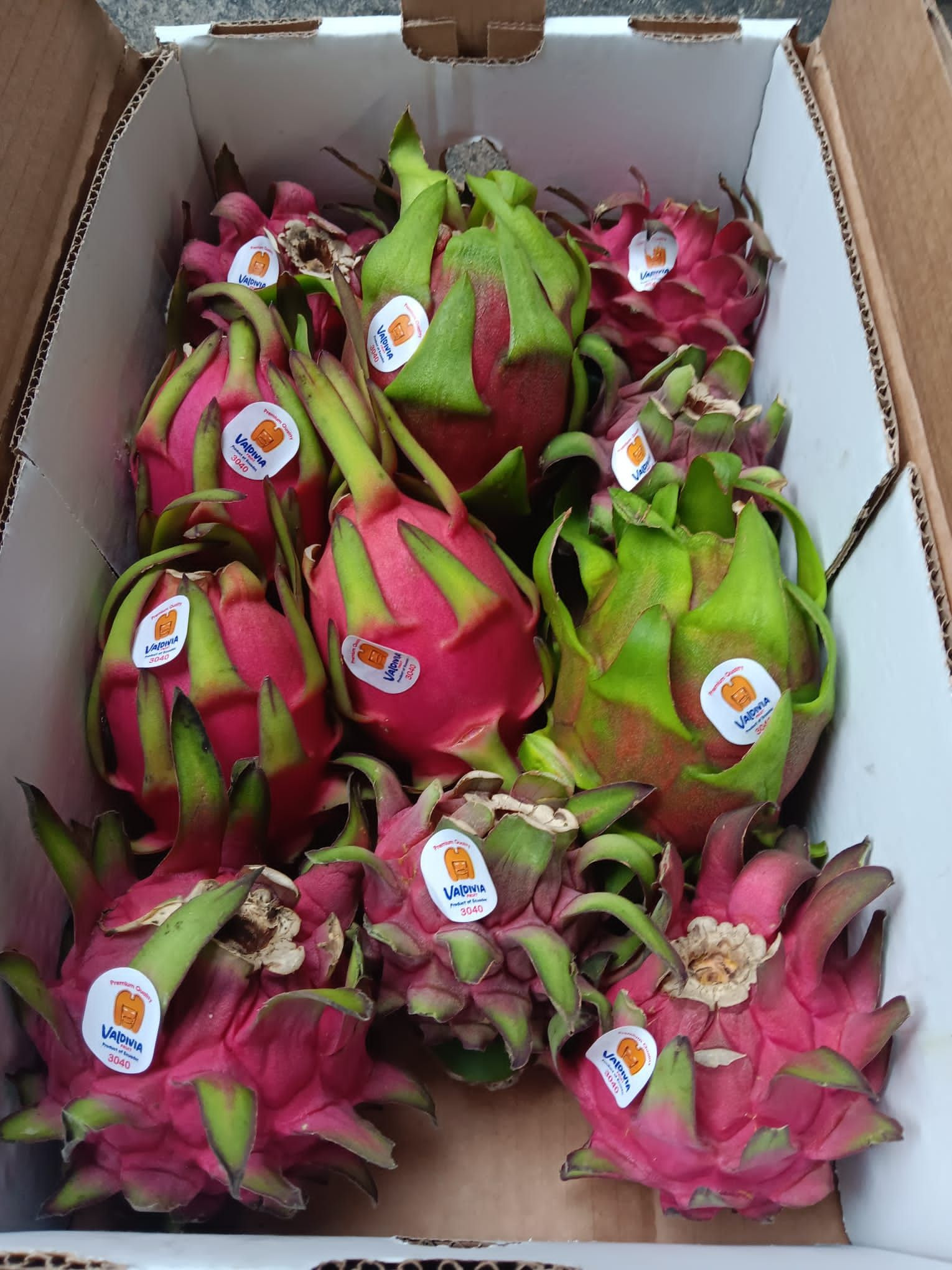 Buy Dragon Fruit Red Flesh from Valdivia Fruit Valdifruit SAS, Ecuador ...