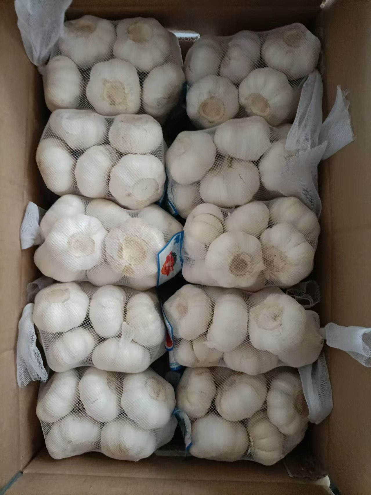 Buy Supply Export Garlic, Fresh White Garlic, Fresh Garlic, Size ...