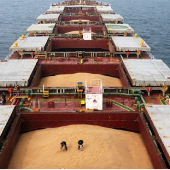 Buy Soya Beans from Tomeura UAB, Netherlands | Tradewheel.com