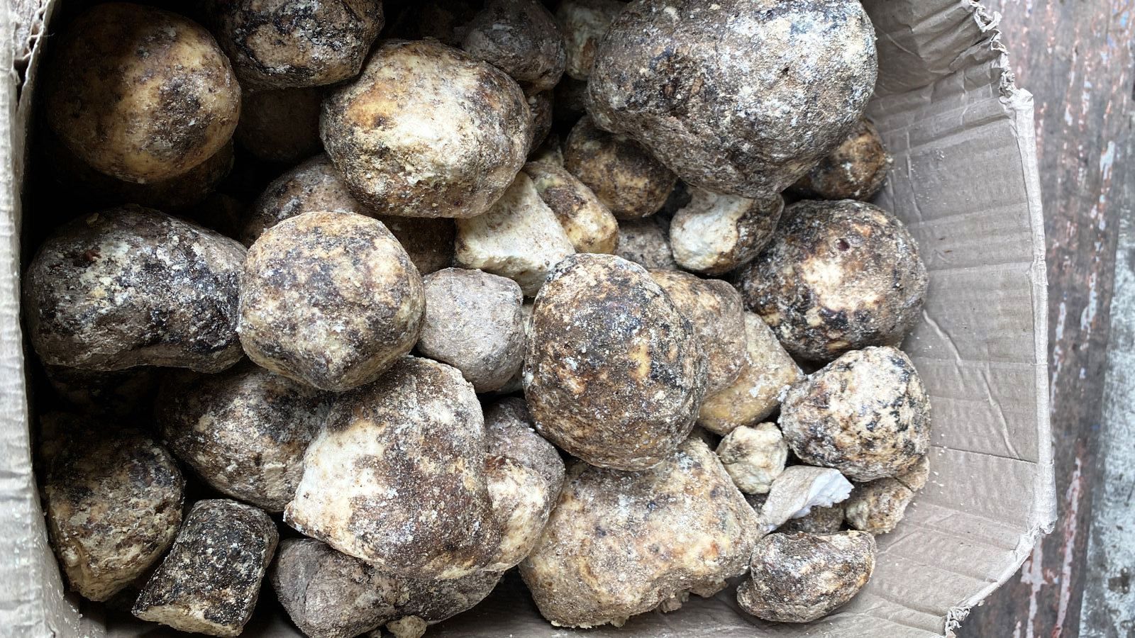 Buy Ambergris For Sale from SelfBusiness, Indonesia | Tradewheel.com
