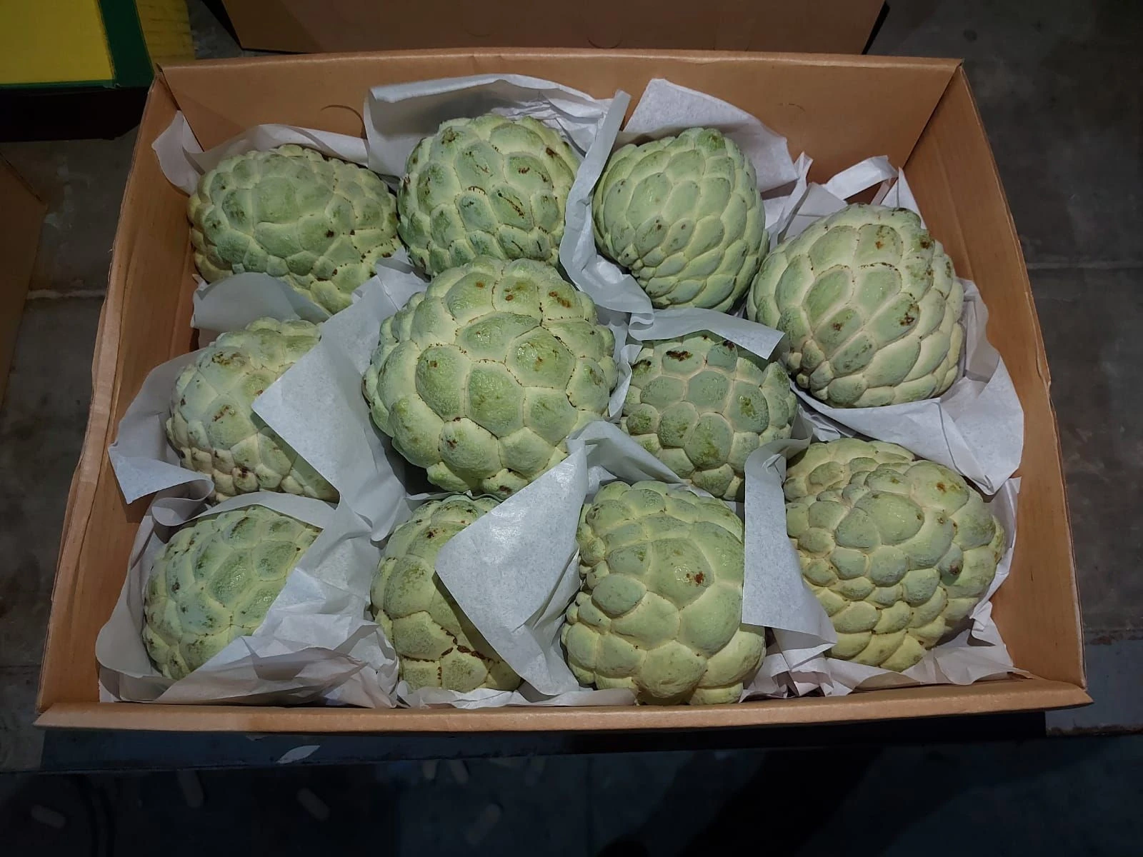 Buy Custard Apple from Elbardy for export, Egypt | Tradewheel.com
