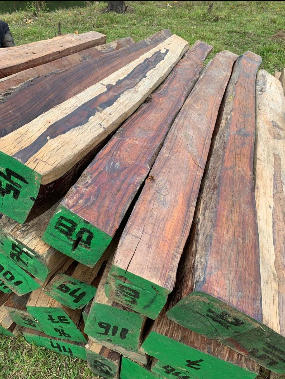 Buy Parota/monkey Pod Premium Live Edge Slabs from Grupo Omega S.A ...