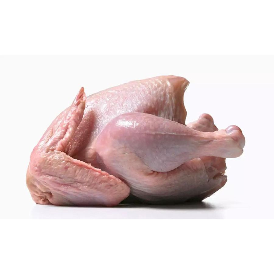 Buy Premium Quality Halal Frozen Whole Chicken – Wholesale & Retail ...