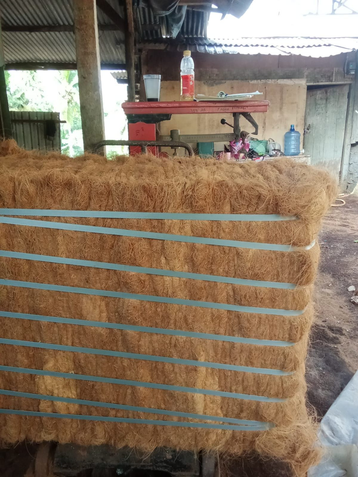 Buy Coconut Fiber/cocofiber from Cocofiber Indonesia Company, Indonesia ...