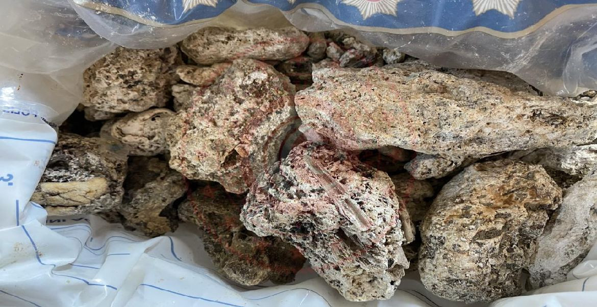 Buy Premium Natural Ambergris (whale Amber) – 5 Kg from KTD GmbH ...