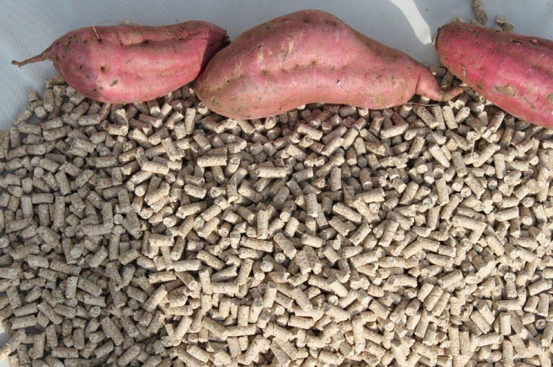 Buy Premium Quality Dried Dehydrated Sweet Potato Pellets/granules For ...