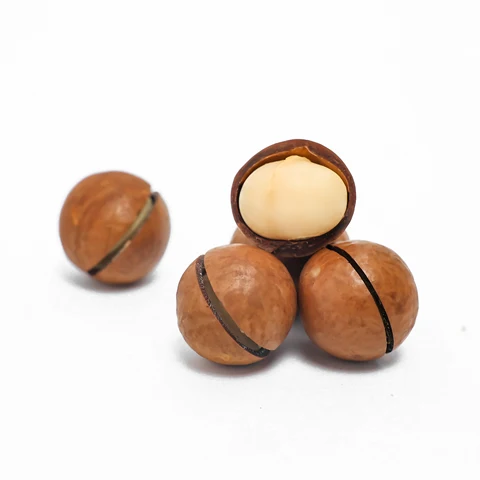Buy Best Selling High Quality Chinese Dry Roasted Macadamia Nuts In ...