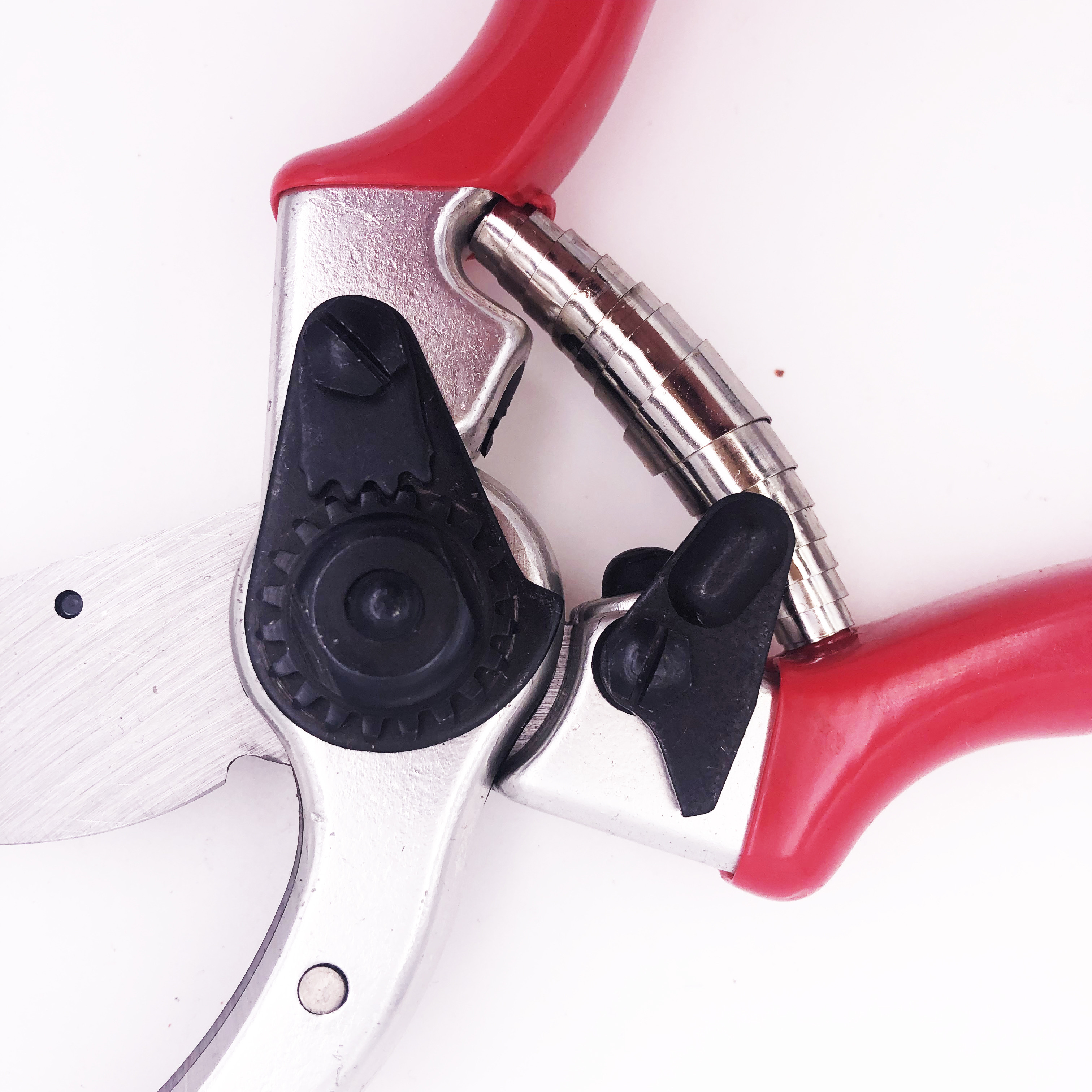 Buy Blade Pruner Hand Bypass Garden Pruner Pruning Shears Handle Pruner ...