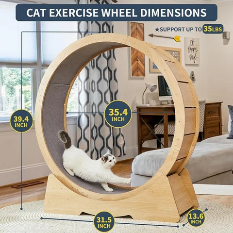 Buy Cat Wheel Pet Treadmill Exercise Wheel Homedoor Cat Furniture ...