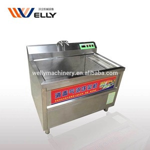 Buy Commercial Vegetable Washer/ Ozone Washing Machine from Henan Welly ...