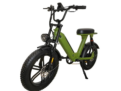 Buy Cs20-k14 48v 10.4ah 500w Rear Hub Motor Retro Fat Tire Electric Bike Electric City Bike ...