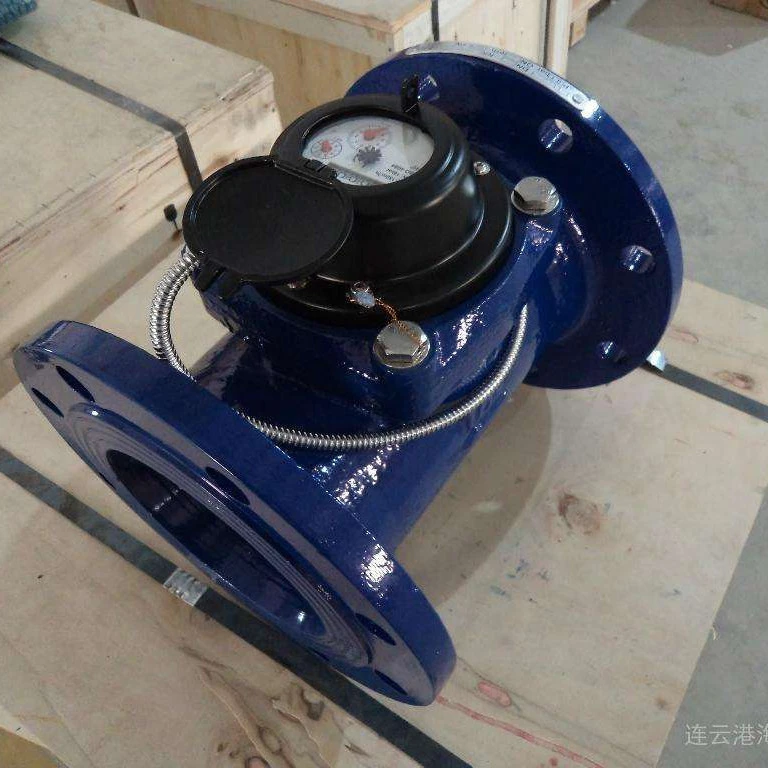 Buy Flange Water Meter/ Pulse Large Diameter Mechanical Water Meter ...