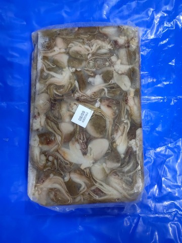 Buy Frozen Whole Cleaned Baby Octopus from ESEAFOOD EXPORTS, India ...
