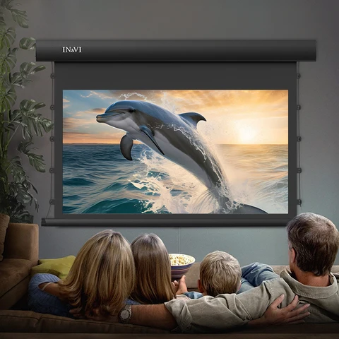 Buy 100 Inch Alr Motorized Projector Screen 16:9 8k Cbsp Ust ...