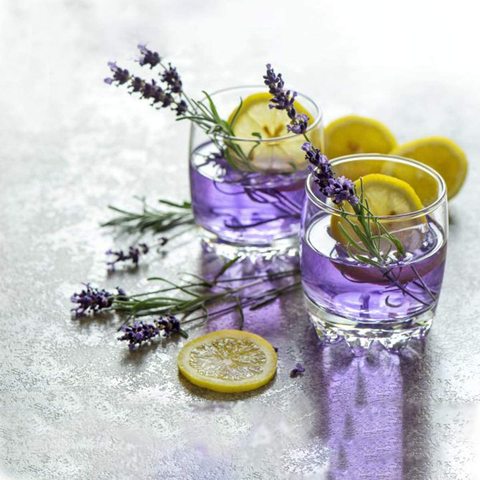 Buy Sleep Well Tea Lavender Herbs Dry Herbal Lavender Bud Flower Tea ...