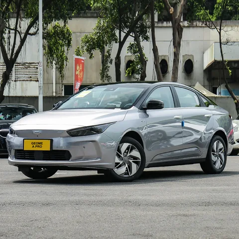 Buy The Hottest Geely Geometry A Pro 2024 Travel Edition 410km 2wd High ...