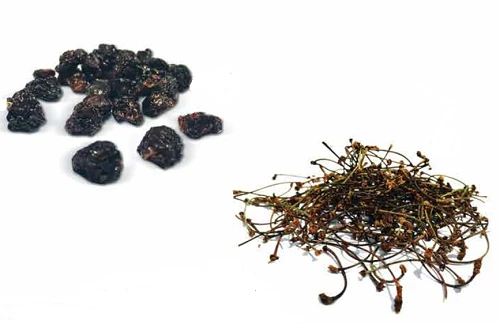 Buy Dehydrated Dried Cherry from Atesinternational/ Taze&Kuru Food Inc ...