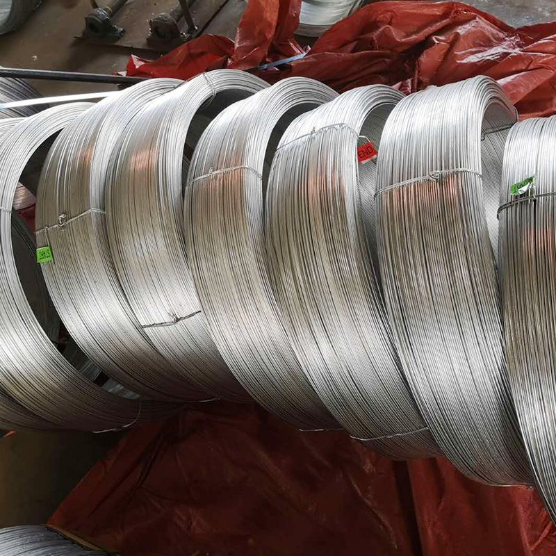 Buy Galvanized Steel Wire from shijiazhuang zhaomeng import and export ...