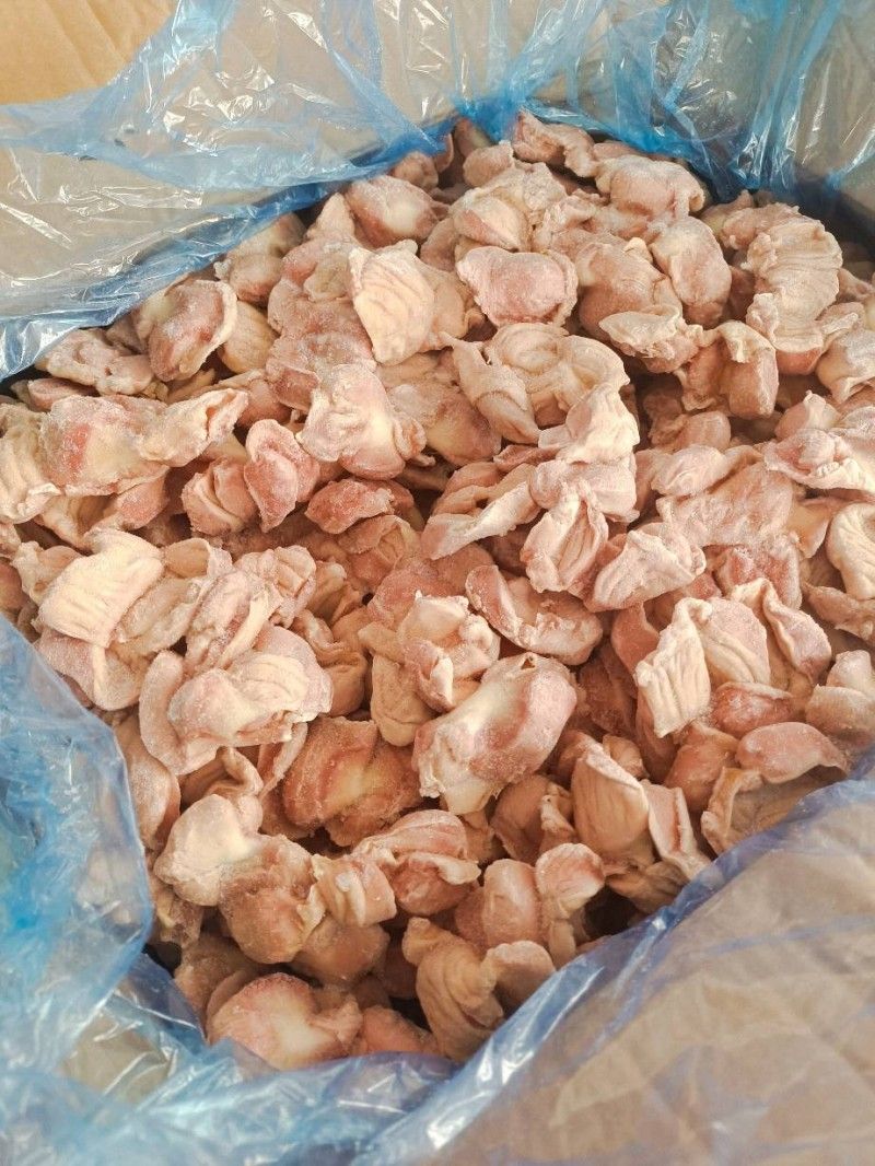 Buy Frozen Chicken Gizzard For Exportation,sadia Chicken For Sale ...