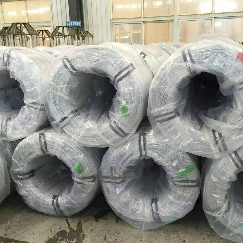 Buy Galvanized Steel Wire from shijiazhuang zhaomeng import and export ...