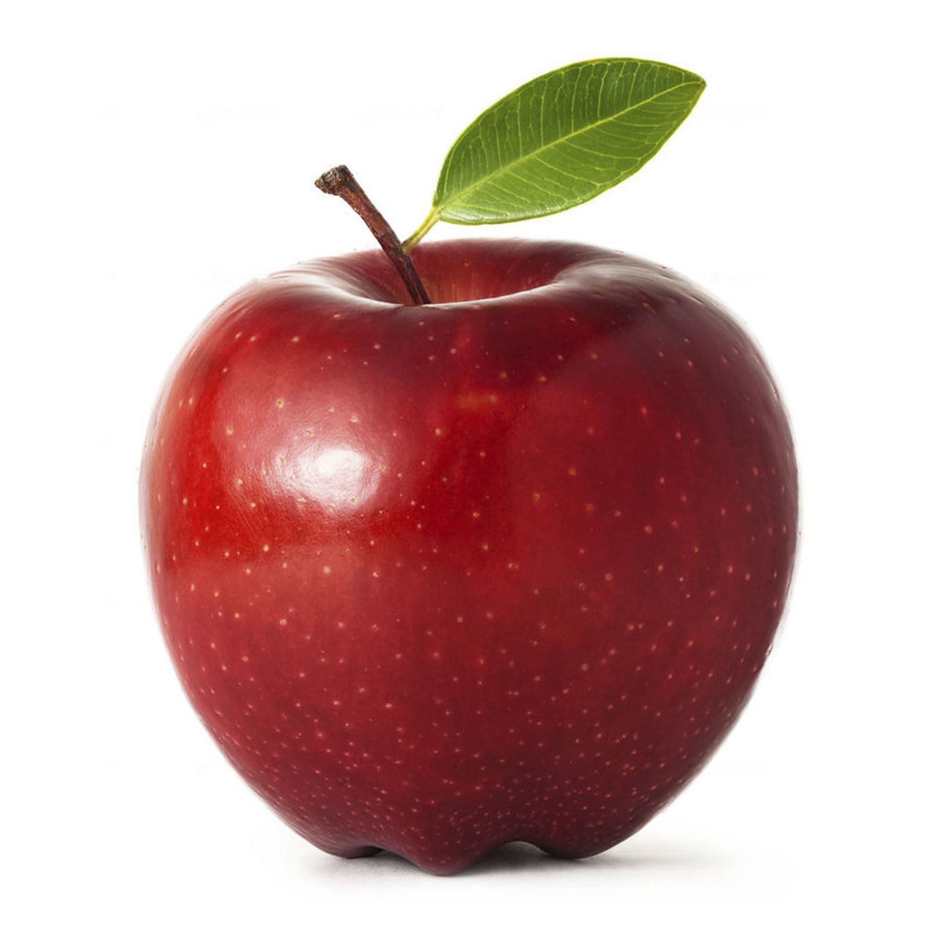 Buy Fresh Apple High Class from Anatolia Fresh, Republic of Türkiye ...