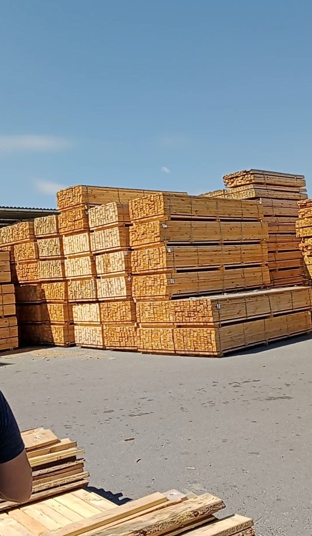 Buy Softwood Lumber Pine from OOO Lespromtorg, Russia | Tradewheel.com