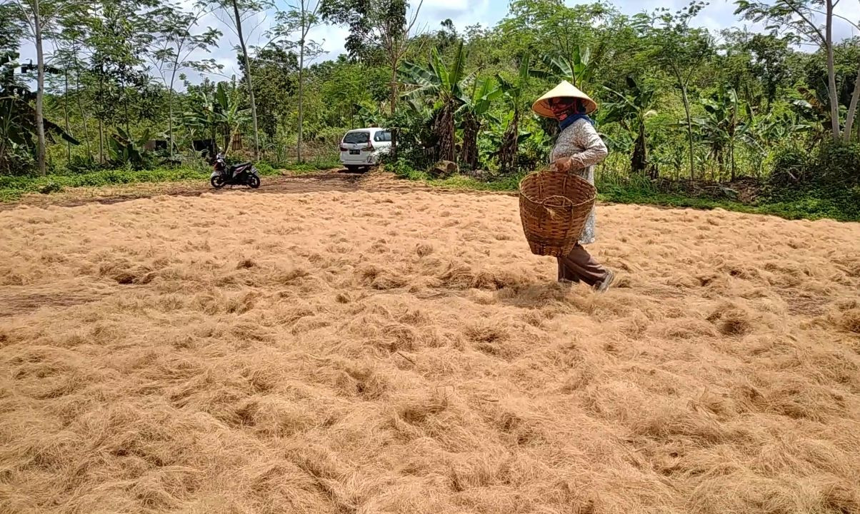 Buy Coco Fiber from The Coco Factory, Indonesia | Tradewheel.com