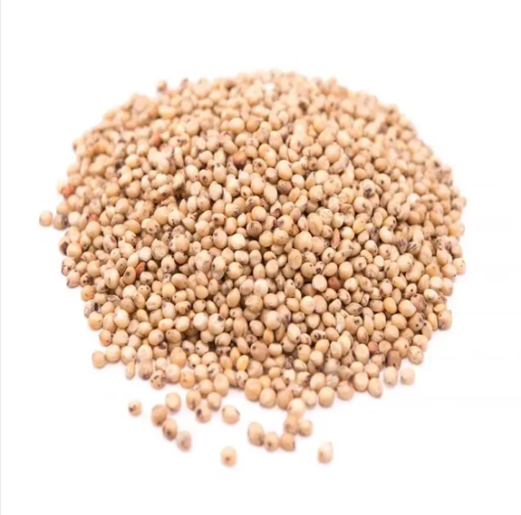 Buy Wholesale Yellow Millet Price Yellow Millet Glutinous Millet For ...