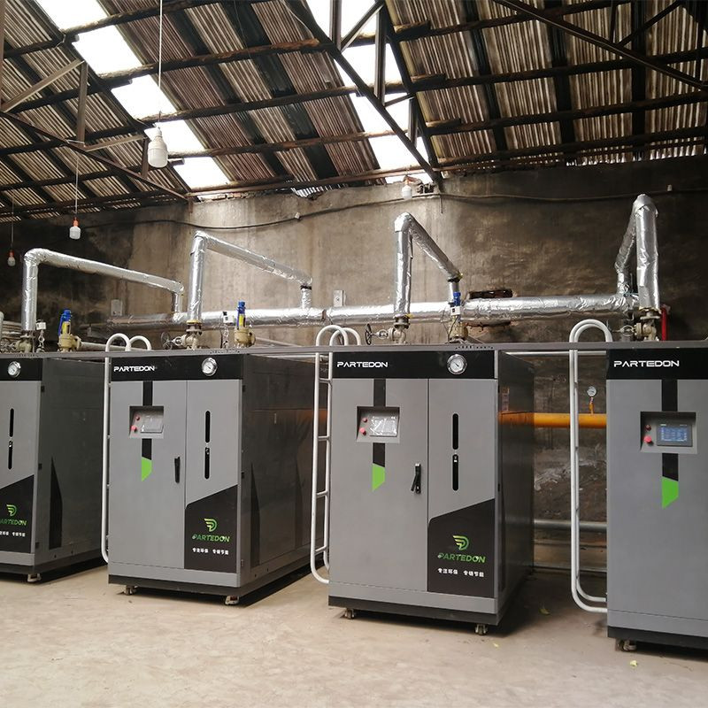 Buy Low-nitrogen Condensing Gas Steam Generator 0.3tph from Partedon ...