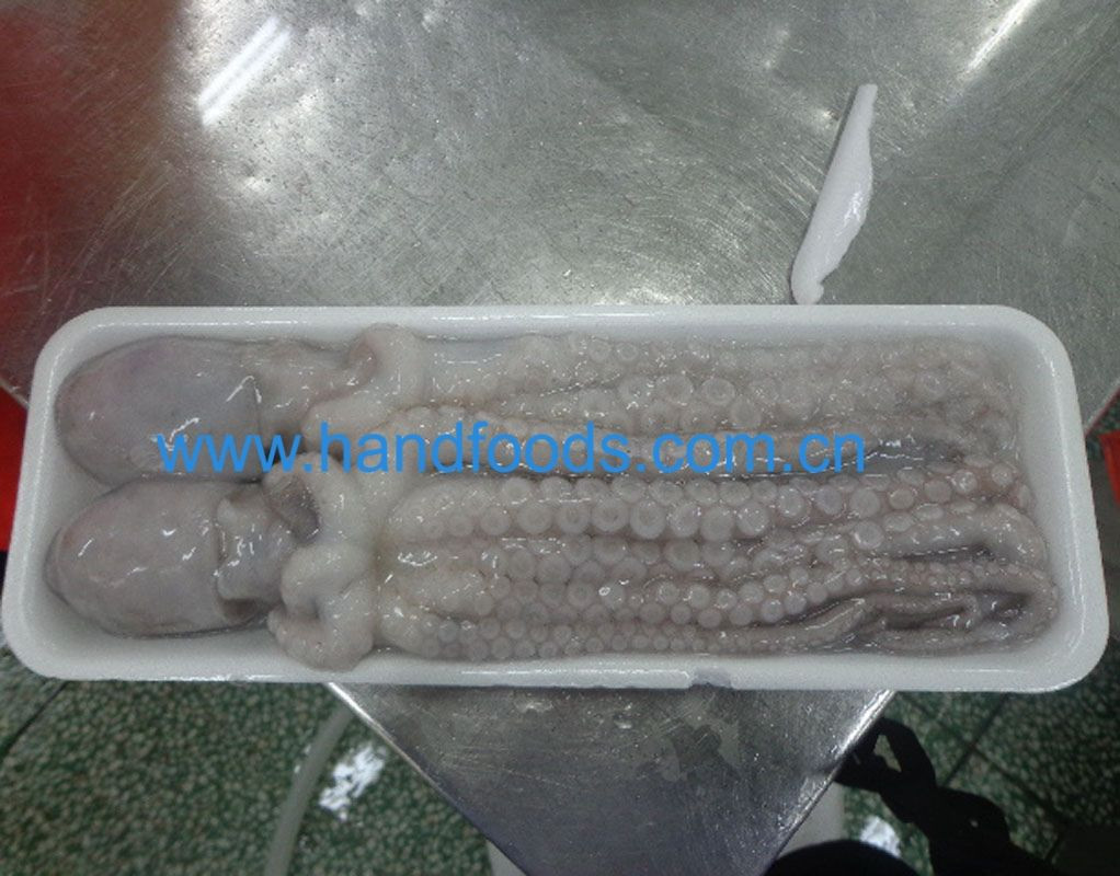 Buy Frozen Small Octopus from Hand Foods (Dalian) Co., Ltd., China ...