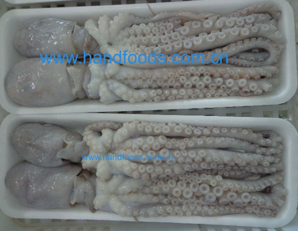 Buy Frozen Small Octopus from Hand Foods (Dalian) Co., Ltd., China ...
