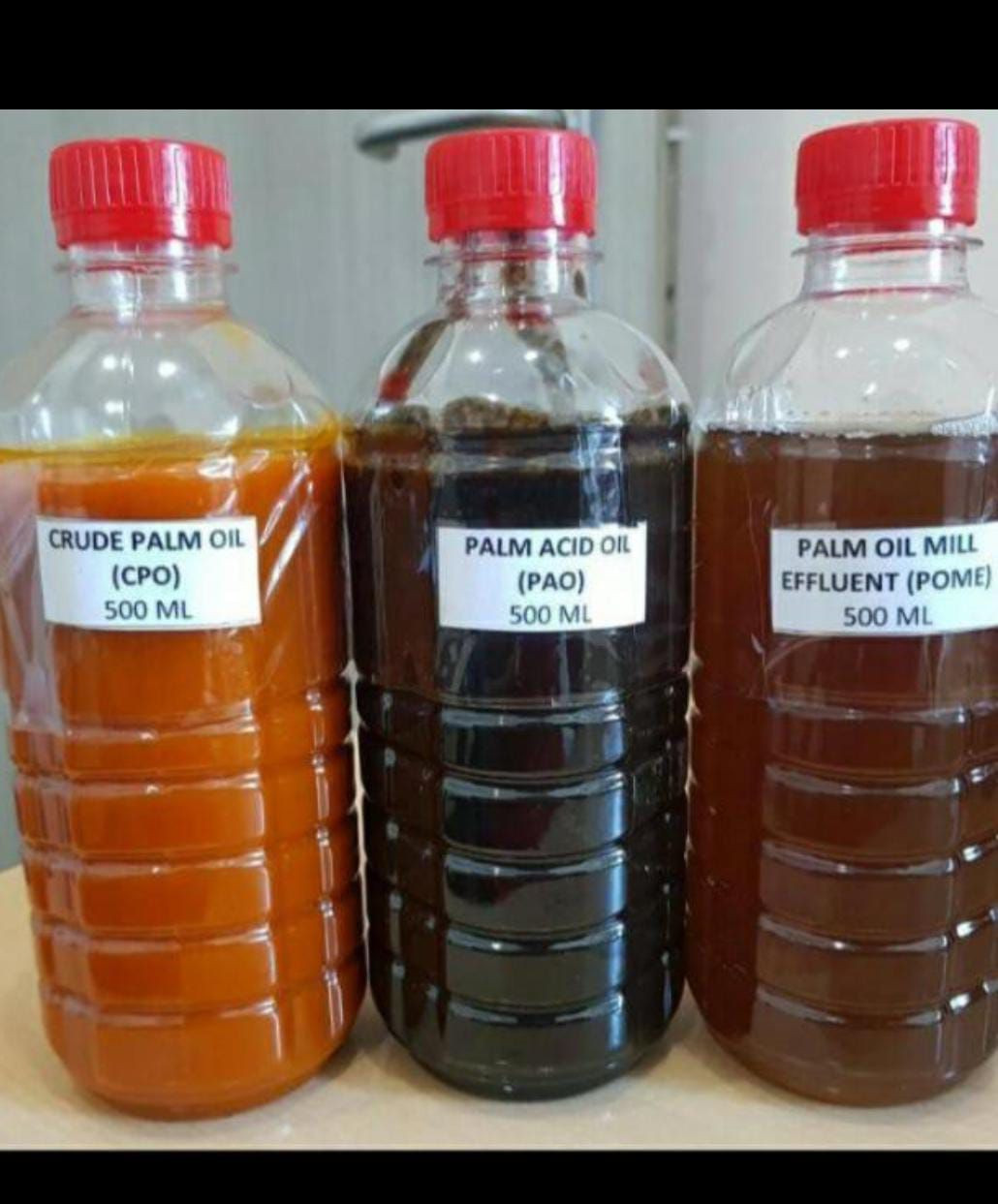 Buy Palm Acid Oil (pao) & High Acid Cruide Palm Oil (hacpo) from Tidak ...