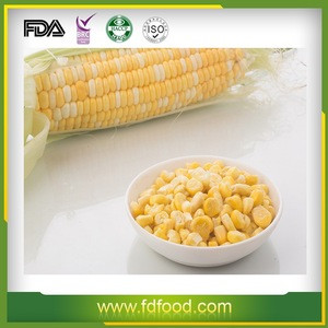 Buy Best Quality Frozen Dried Sweet Corn In Best Rates from Shenzhen ...