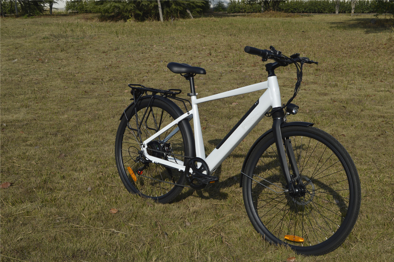 Buy Petrigo Retailmost Popular E-bike Electric Assist Bike Pas 36v10ah ...