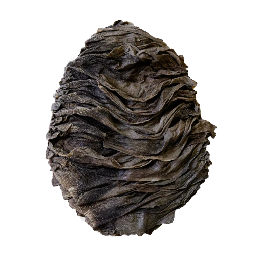 Buy Omasum from Pishin Protein Dahmardeh, Iraq | Tradewheel.com