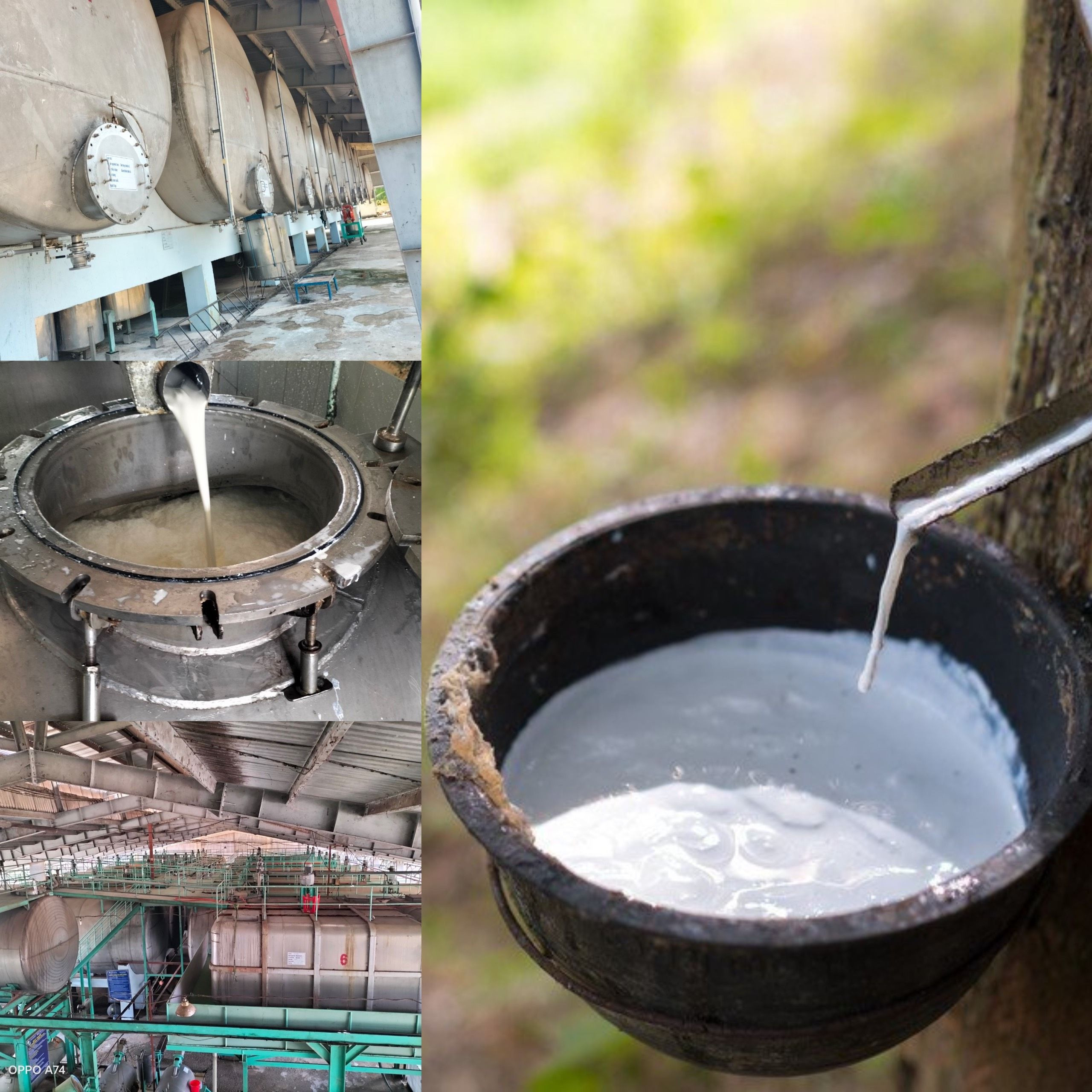 Buy Natural Rubber Latex Ha 60% Drc from Chaco Vietnam Green Energy Co ...