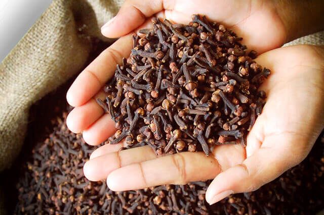 Buy Cloves (syzygium Aromaticum) from PT AMALIA NIAGATAMA TRADING ...