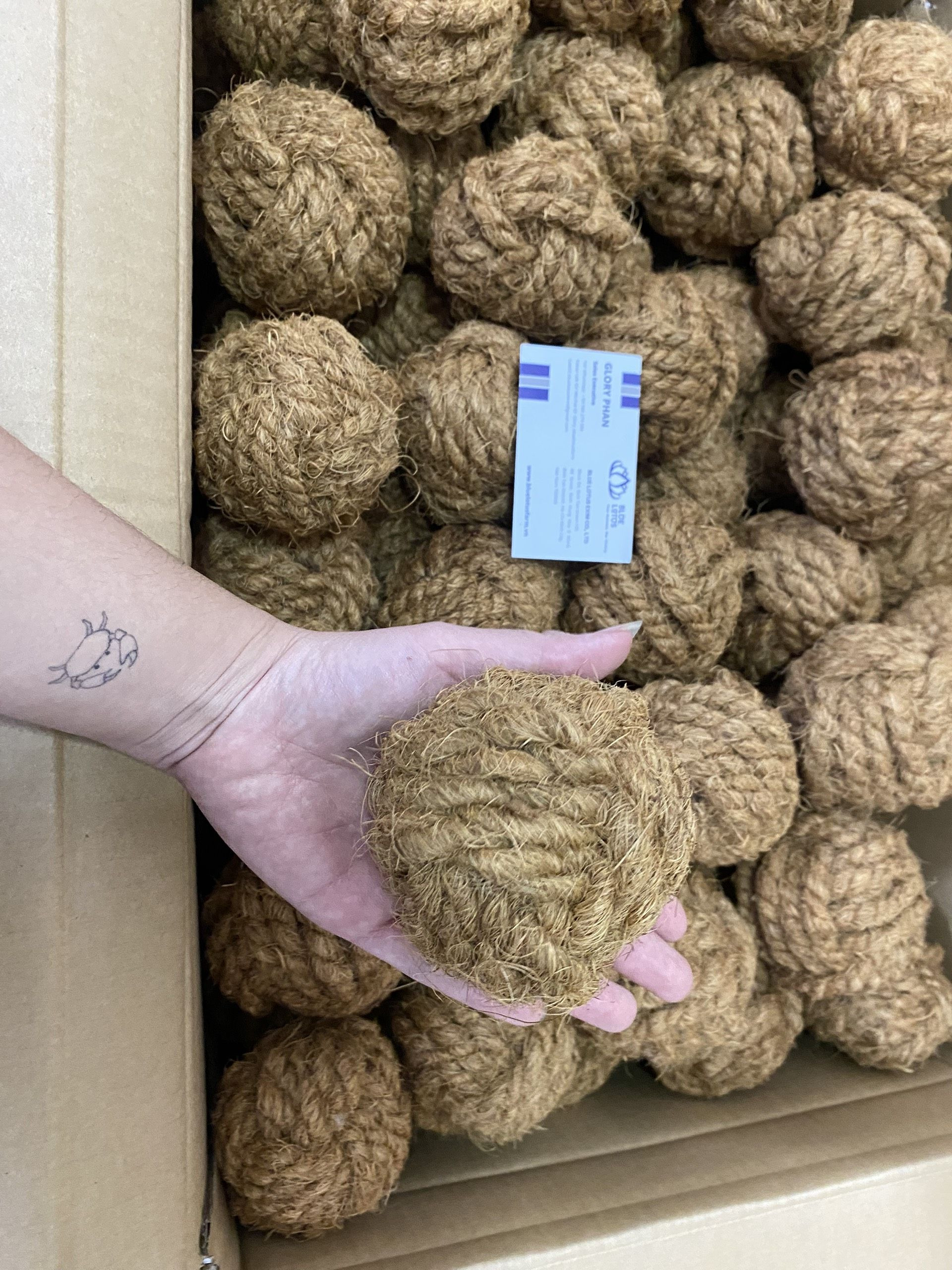 Buy Coir Ball from Blue Lotus Exim Co.,LTD, Vietnam | Tradewheel.com