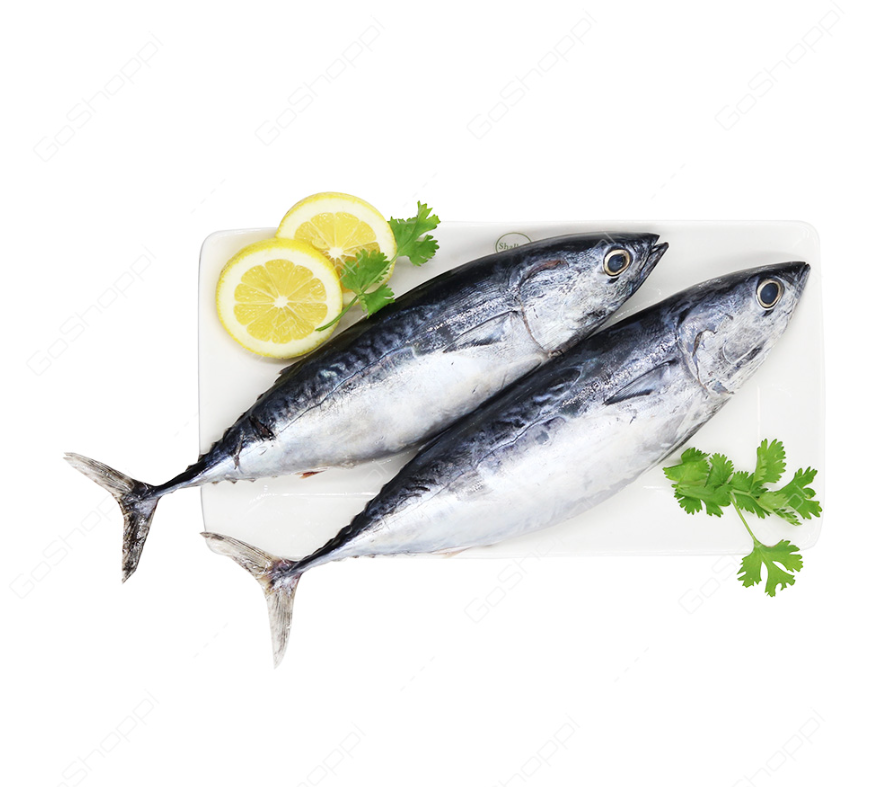 Buy Premium Grade Whole Tuna Fish For Sale/ Frozen Fresh Black Fin Tuna ...