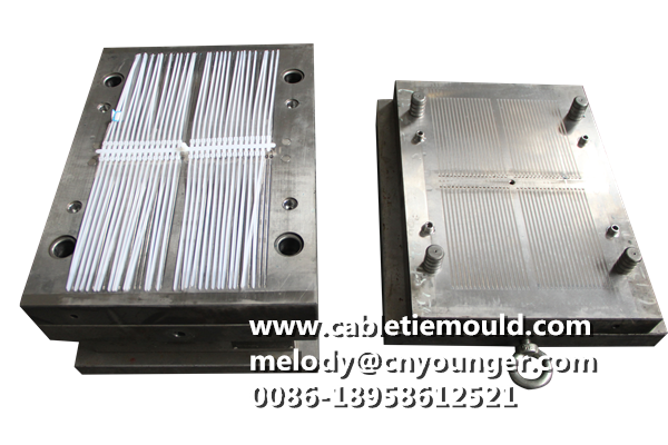 Buy Cable Tie Mould Cable Tie Injection Mould Double Head Cable Ties ...