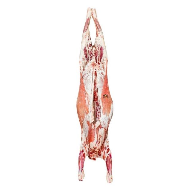 Buy Cheap Frozen Lamb Meat from MILKTECH LTD, United Kingdom ...