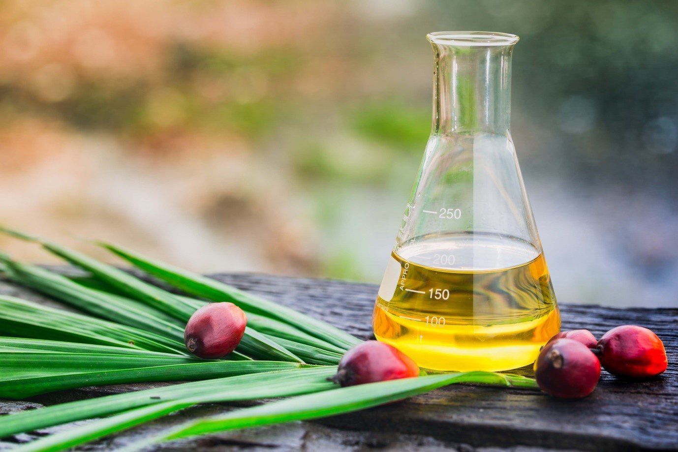 Buy Palm Kernel Oil (pko) from AFRIVIRGIN LTD, Nigeria | Tradewheel.com