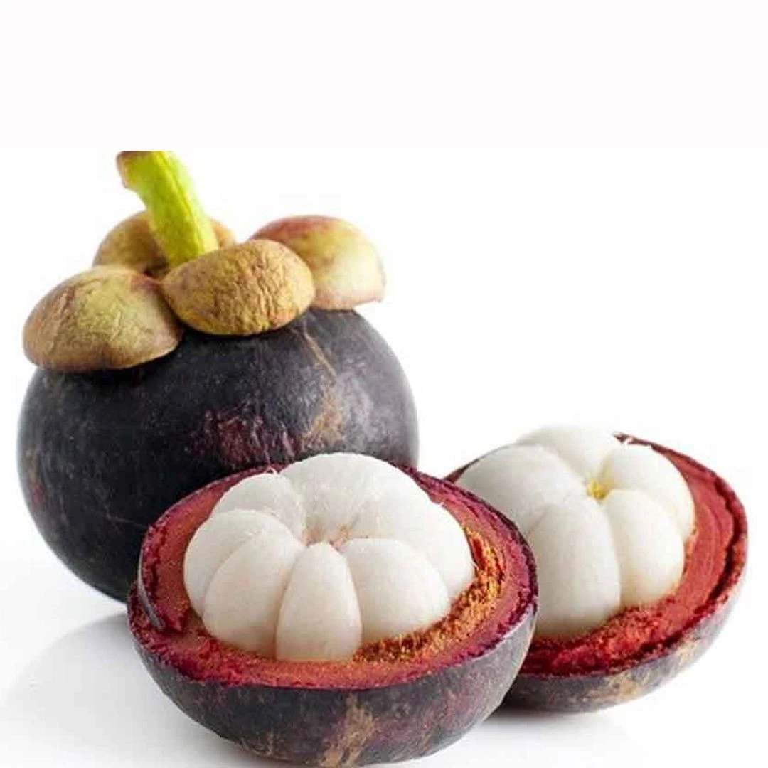 Buy Java Fresh Mangosteen from Agyagro, Indonesia | Tradewheel.com