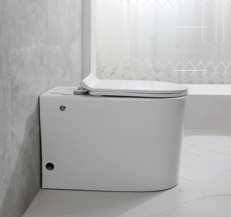 Buy 2020 Amaze New Design Sanitary Ware Ceramic Wc Toilet Without Tank ...