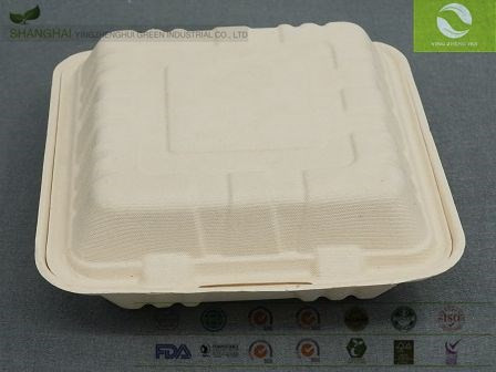 Buy Biodegradable And Compostable Sugar-cane Fibre Bento Box 8" Take ...