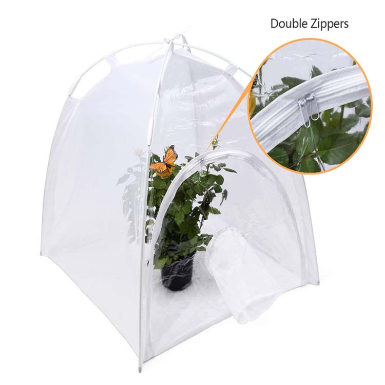 Buy Butterfly Habitat Rearing Tents,insect Breeding Cage from Xiamen ...