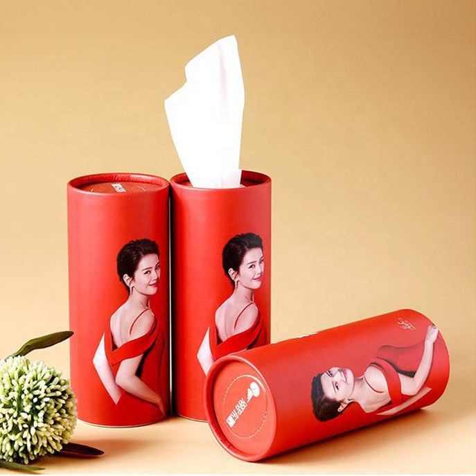 Buy Cylinder Tissue Tube Disposable Facial Tissues from INTAI ...