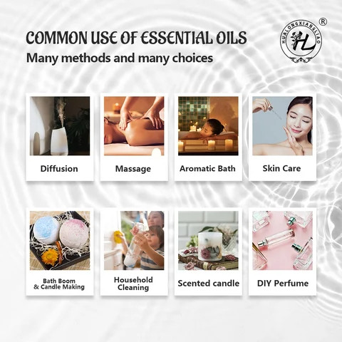 Buy Hl- Cold Pressed Calophyllum Inophyllum Carrier Oils Suppliers,bulk ...