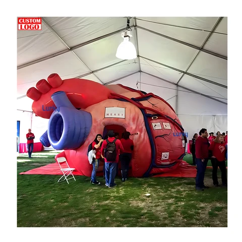 Buy Inflatable Brain Heart Tent Model Human Body Large Organs For ...